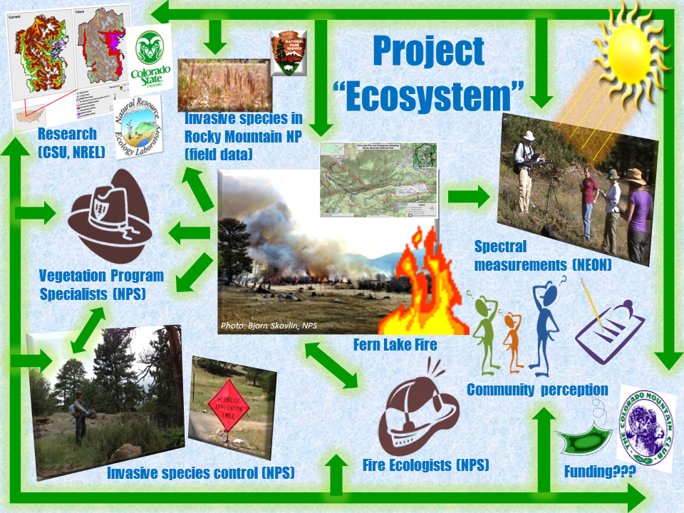 The Complex Ecosystem of a Developing Research Project – Natural ...